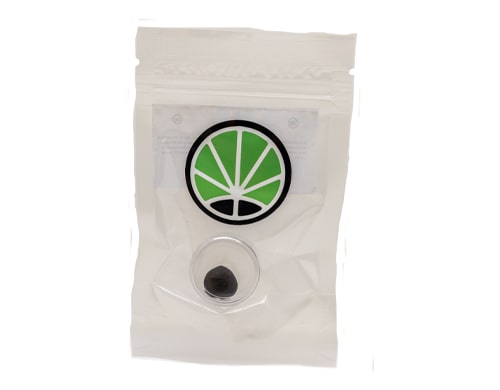 CHARAS | Hashish Indiano | CBD