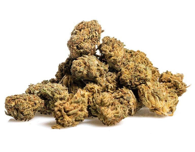 JustBob | Shop online N°1 di Erba legale e Cannabis light